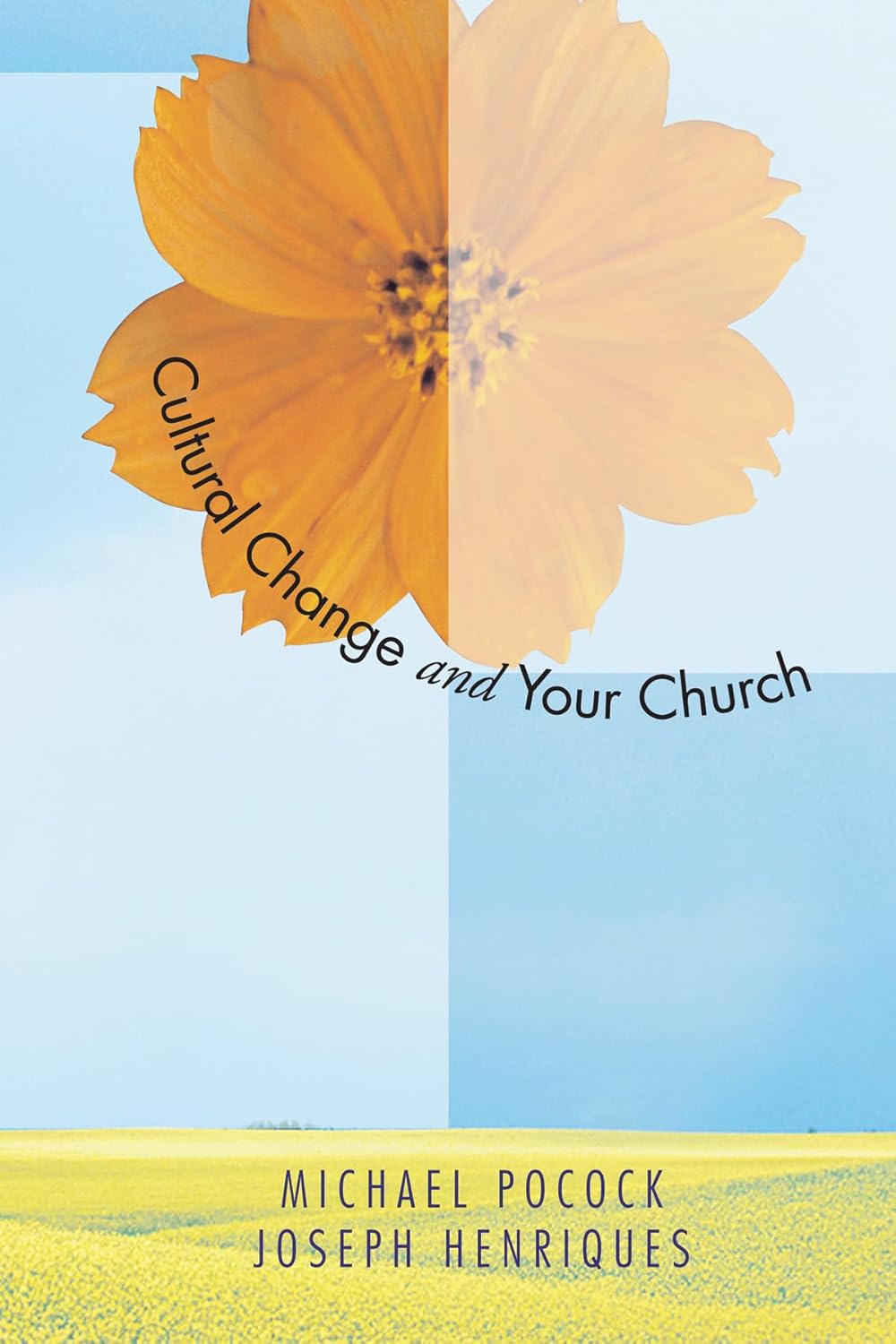 Cultural Change & Your Church: Helping Your Church Thrive in a Diverse ...