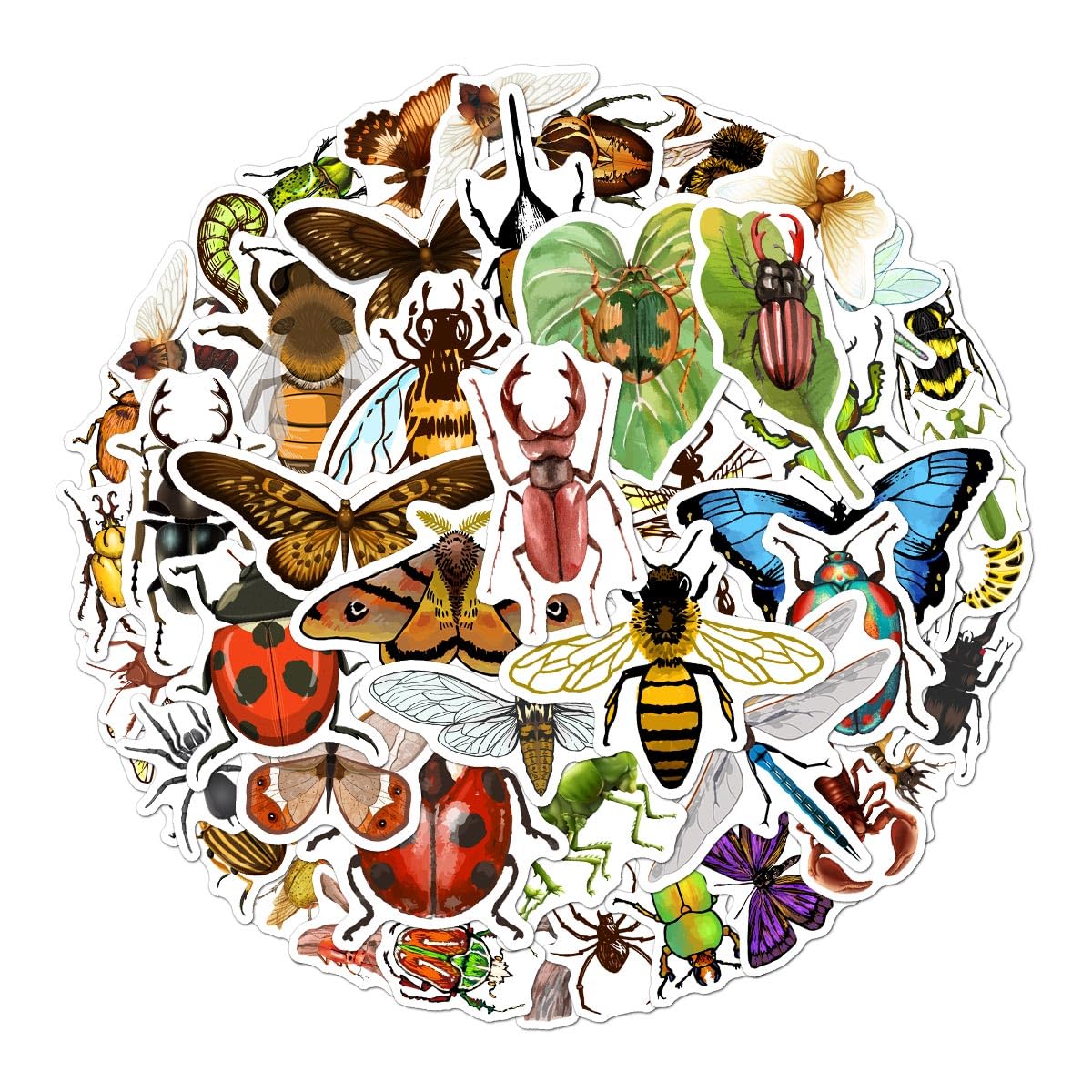 Amazon.com: Pack 50 Pcs Cute Animal Insect Bugs Stickers for Water ...
