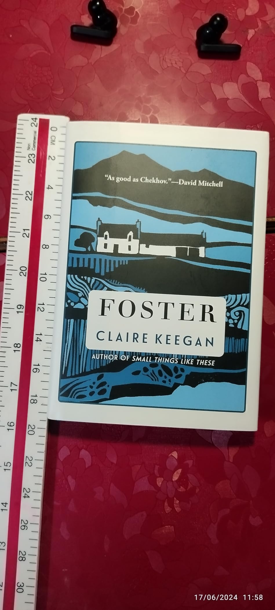 Buy Foster: by the Booker-shortlisted author of Small Things Like These ...