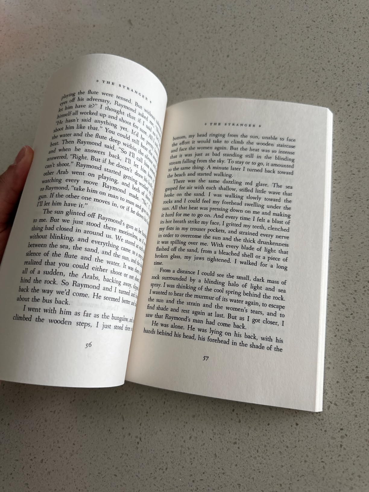 Amazon.com: The Stranger: 9780679720201: Albert Camus, Matthew Ward: Books