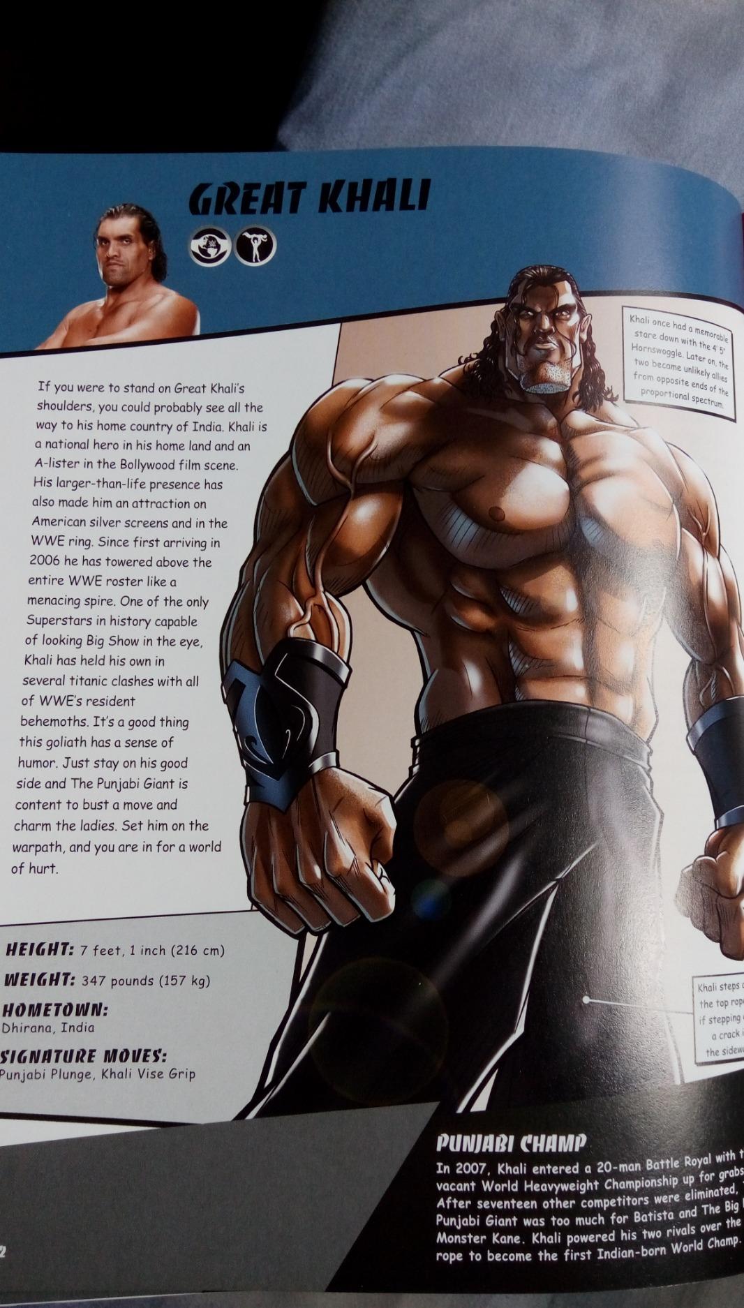 Buy WWE Ultimate Superstar Guide (Bradygames) Book Online at Low Prices ...