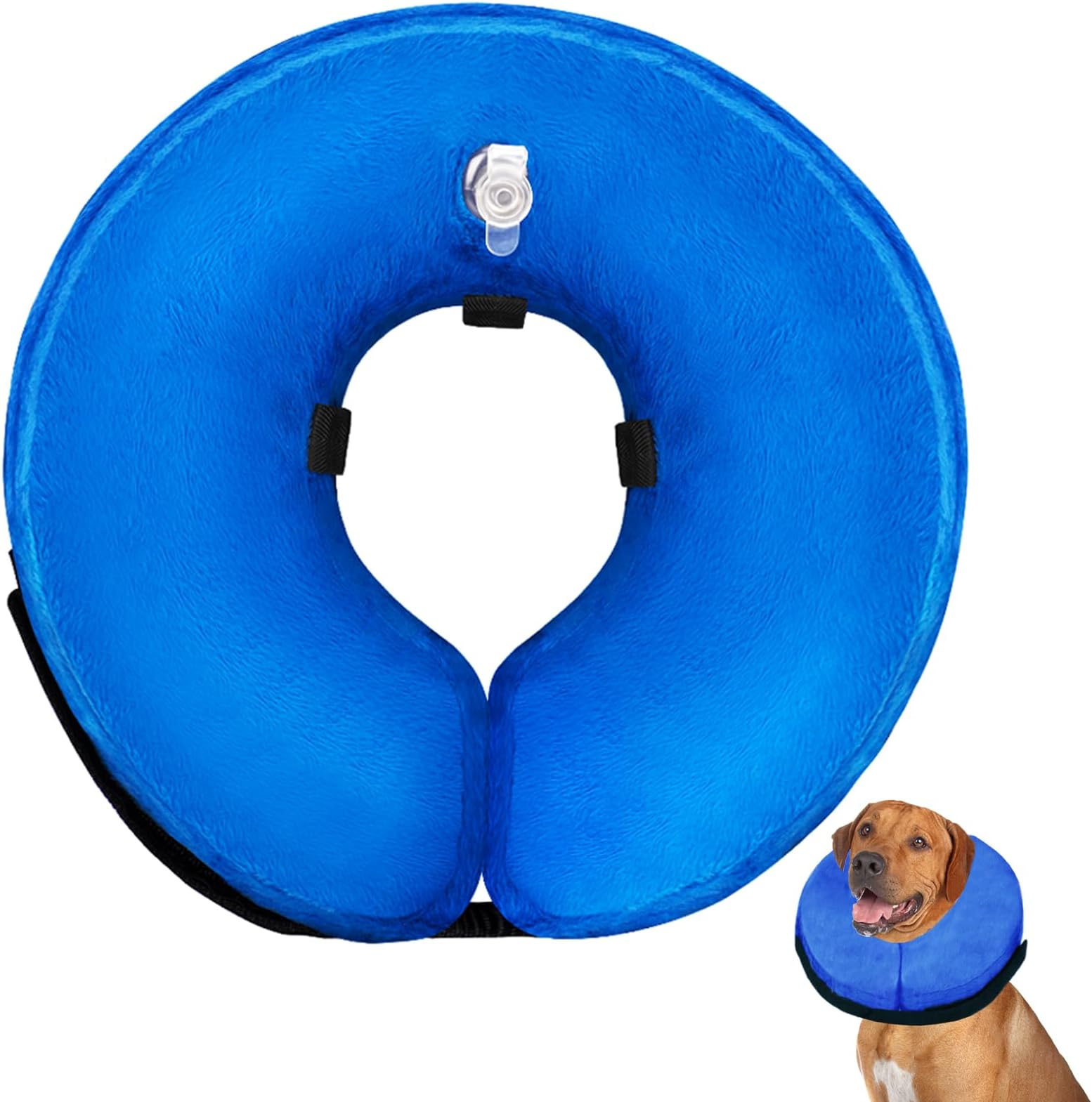 Amazon.com : Inflatable Dog Collar Dog Donut Cone Collar Soft Recovery ...