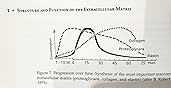 The Extracellular Matrix and Ground Regulation: Basis for a Holistic ...