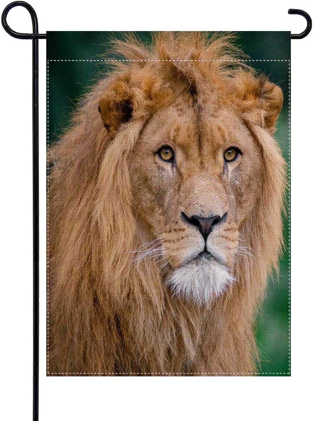 Amazon.com : Uanvaha Lion Garden Flag Double Sided Brown Lion Head King ...