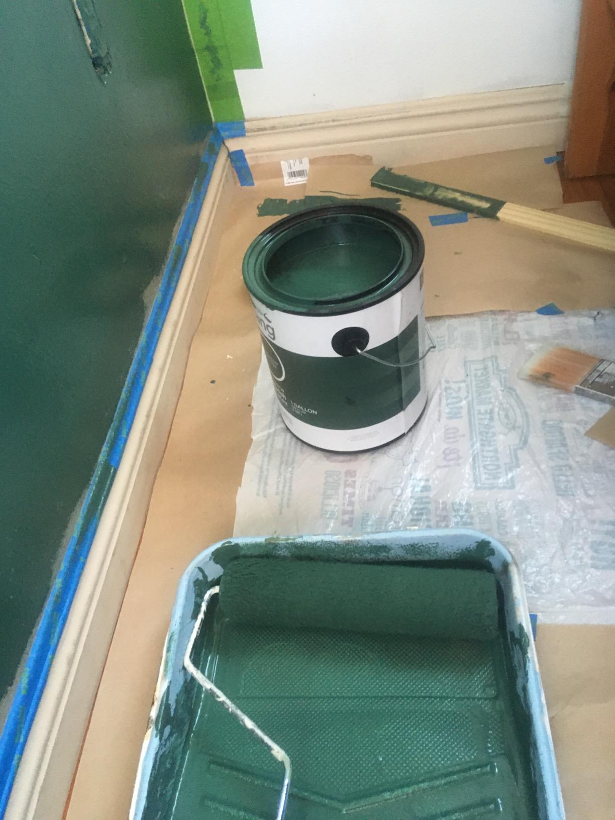 Boomerang Eco-Friendly Interior Paint, Eggshell Finish (Evergreen ...