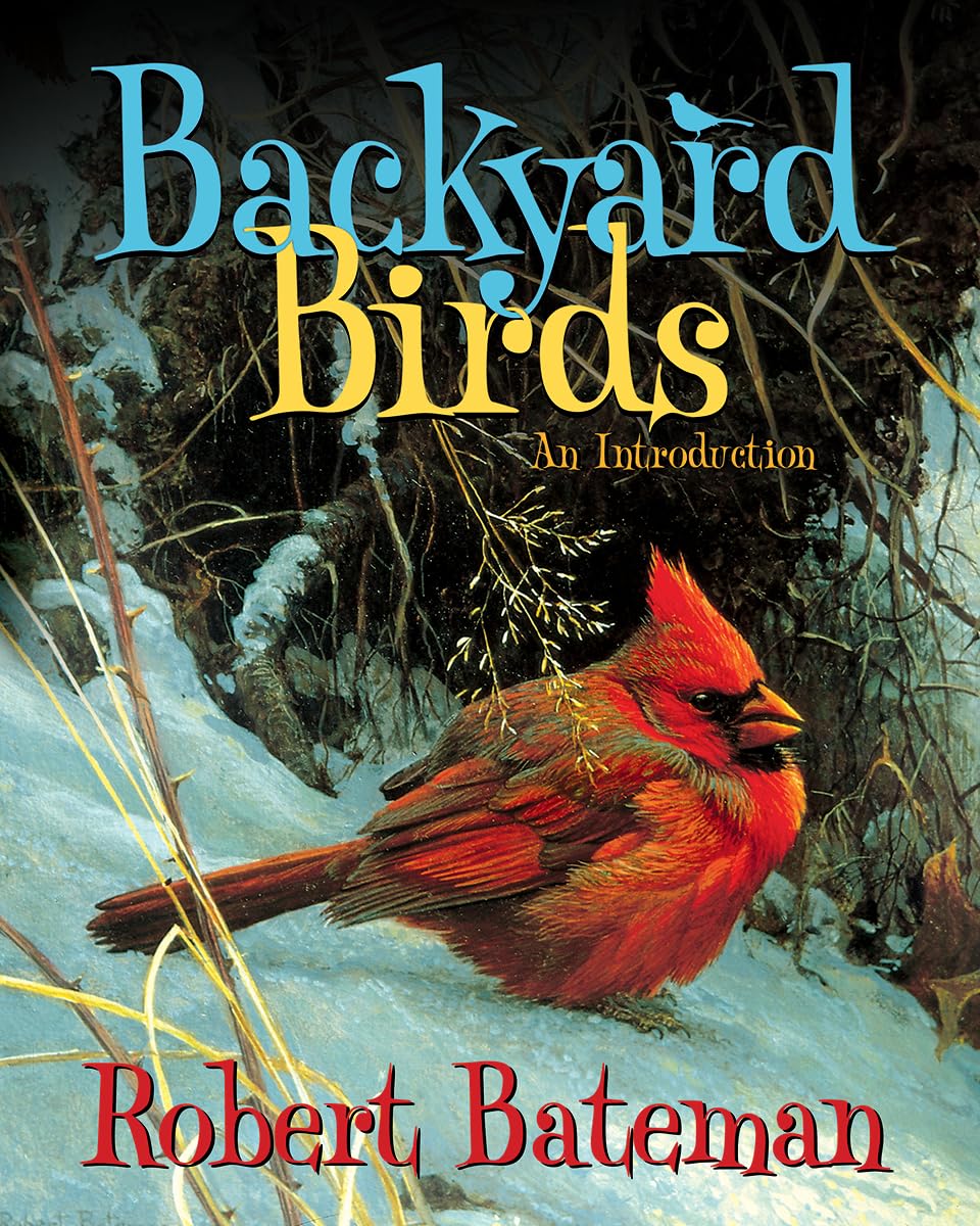 Backyard Birds: An Introduction: Bateman, Robert: 9780228101550: Amazon ...