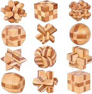 Amazon.com: VolksRose 12pcs Wooden Brain Teaser Puzzles, IQ Challenge ...