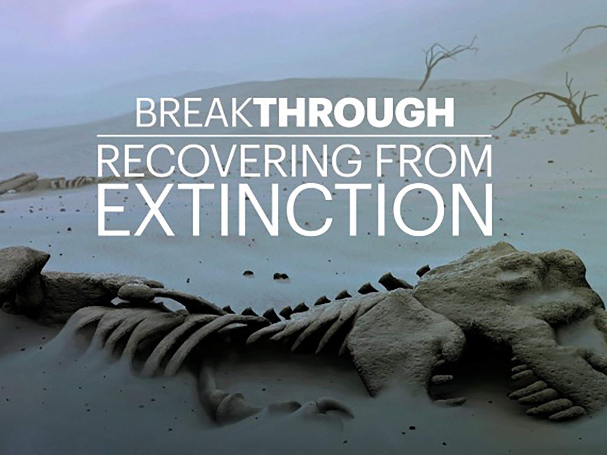 Watch Breakthrough | Prime Video