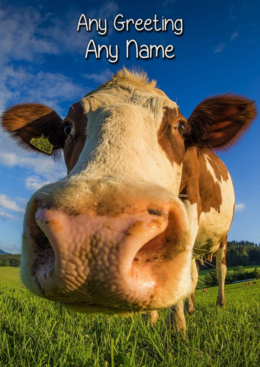 Personalised Cow Greeting Card (Birthday, Christmas, Any Occasion ...