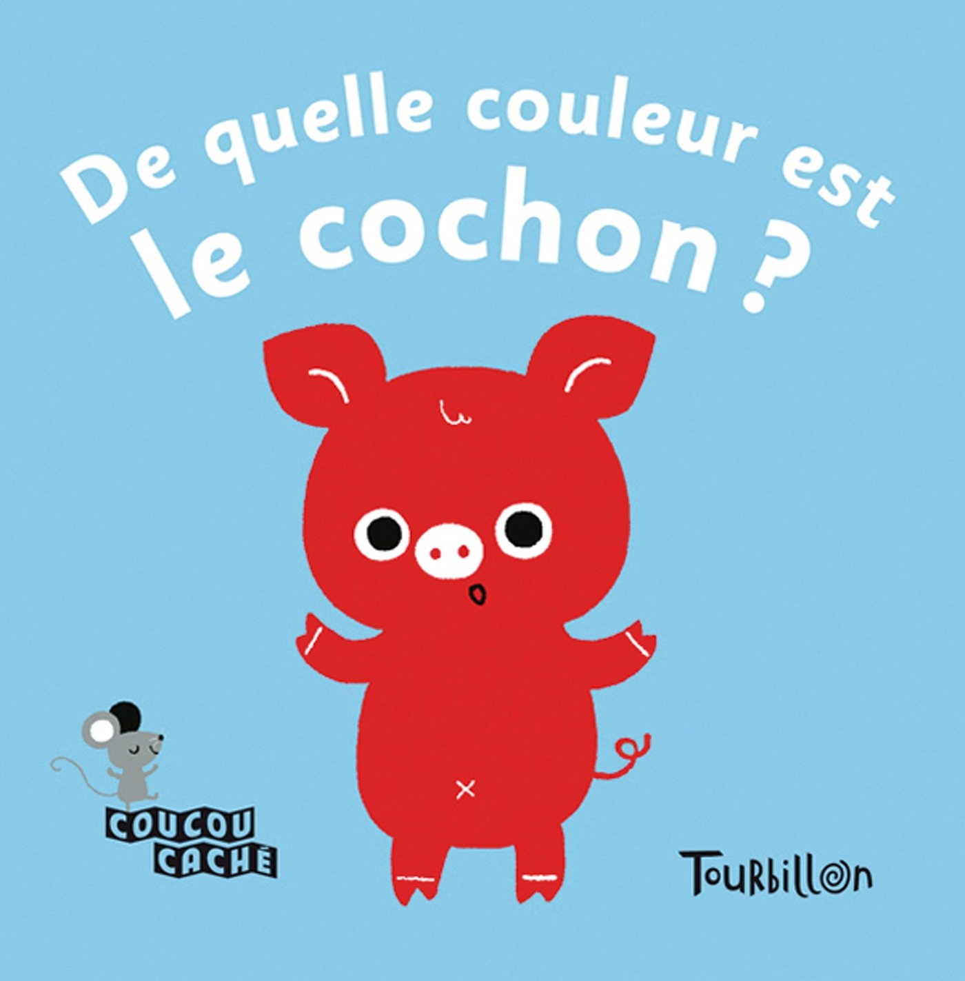 Amazon.fr - De quelle couleur est le cochon ? - Hayashi-E - Livres