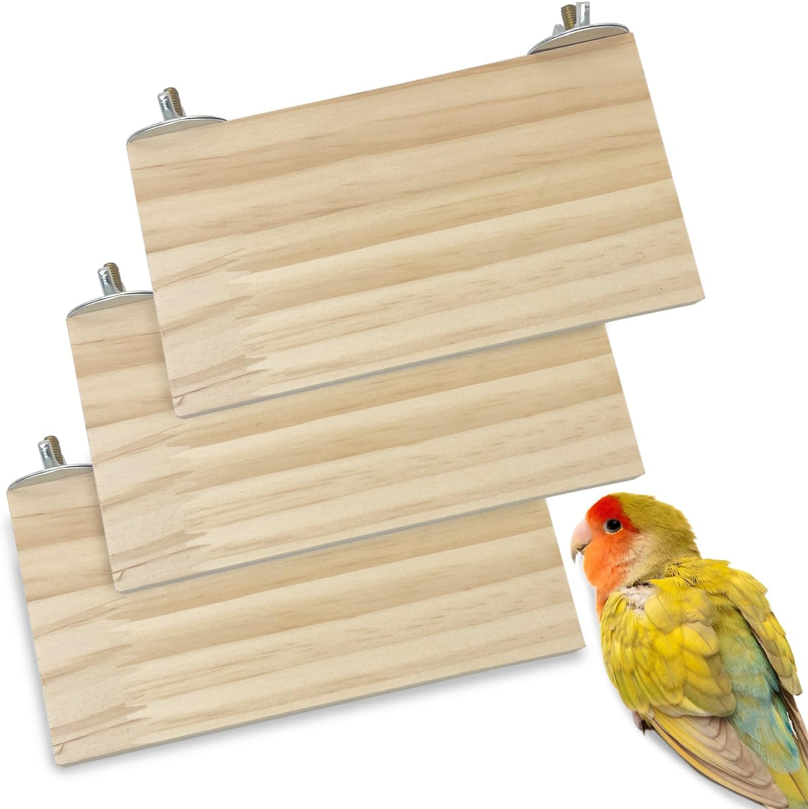 Amazon.com : BILLIOTEAM 4-Size Bird Platforms with Wood Perches and ...