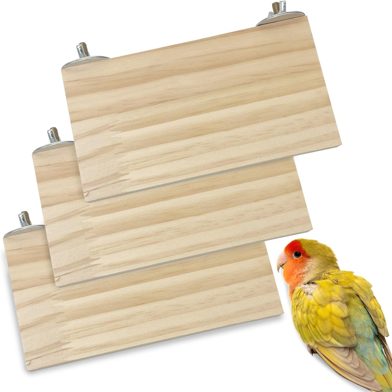 Amazon.com : kathson Bird Wood Platform Parrot Perch Stand Parakeet ...