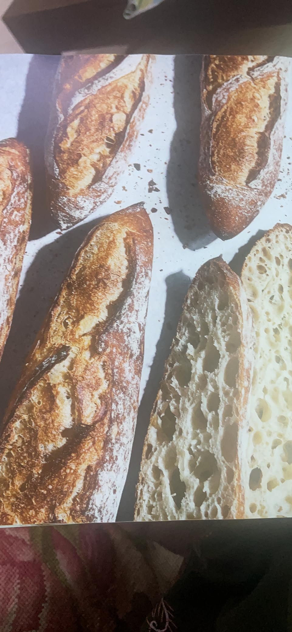 Buy The Perfect Loaf: The Craft and Science of Sourdough Breads, Sweets ...