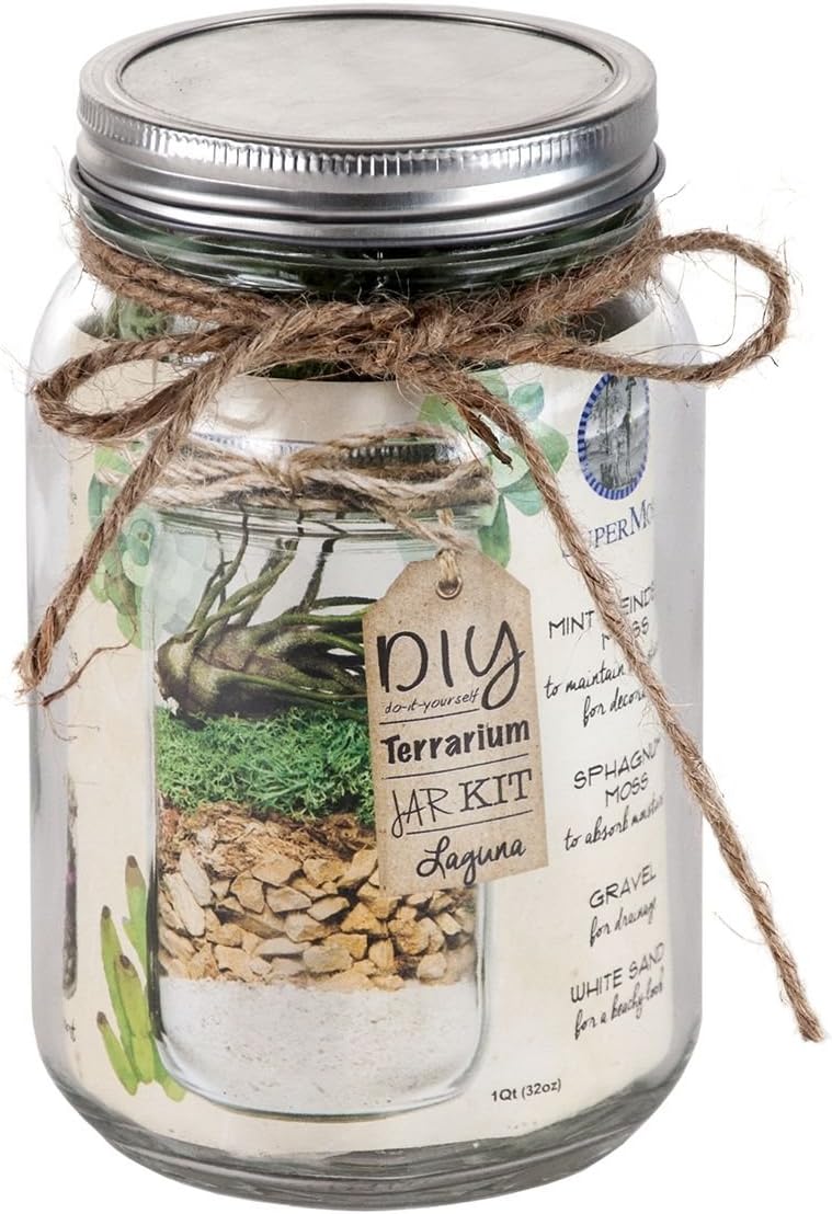 Amazon.com: DIY Mason Jar Terrarium Kit - The Laguna : Patio, Lawn & Garden