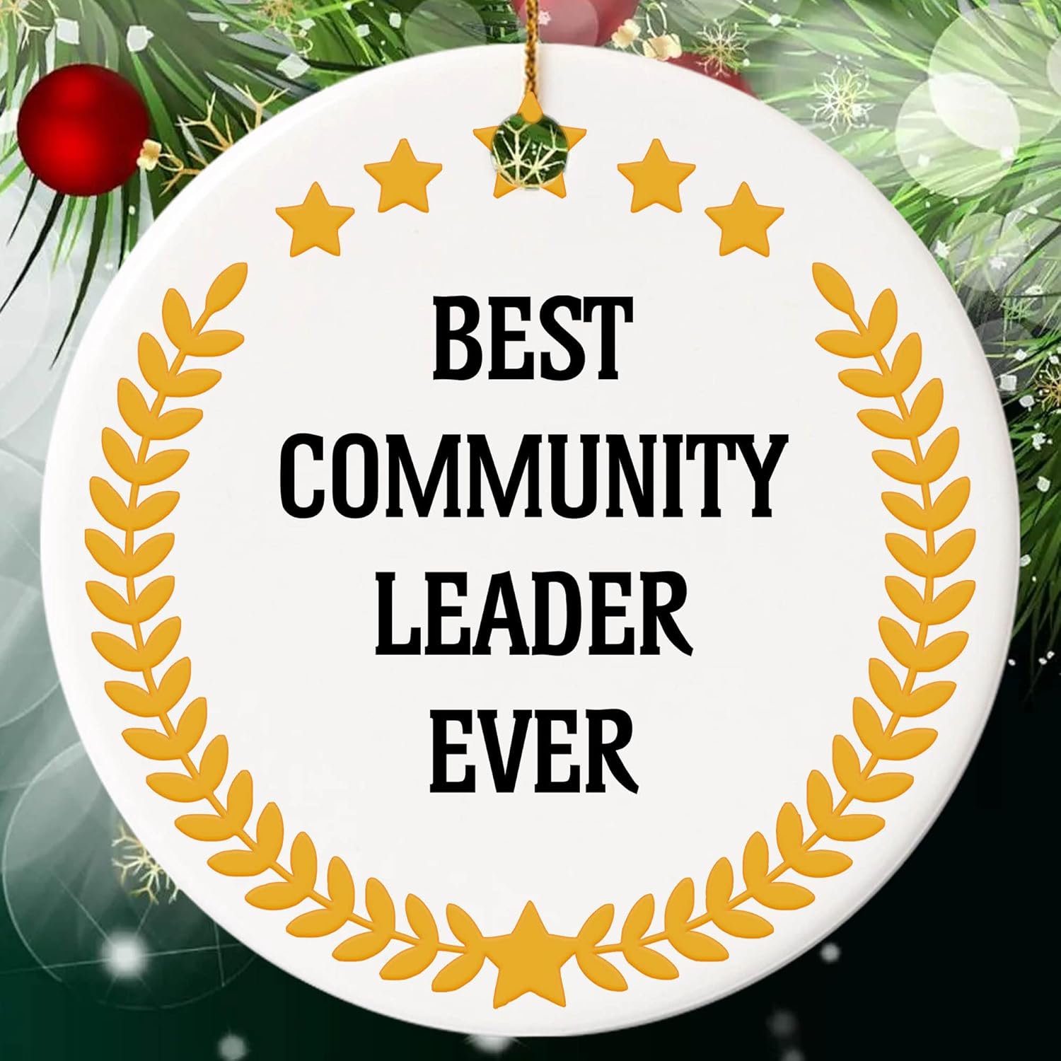 Amazon.com: Congratulation Gift for Community Leader Ornament Cirle ...