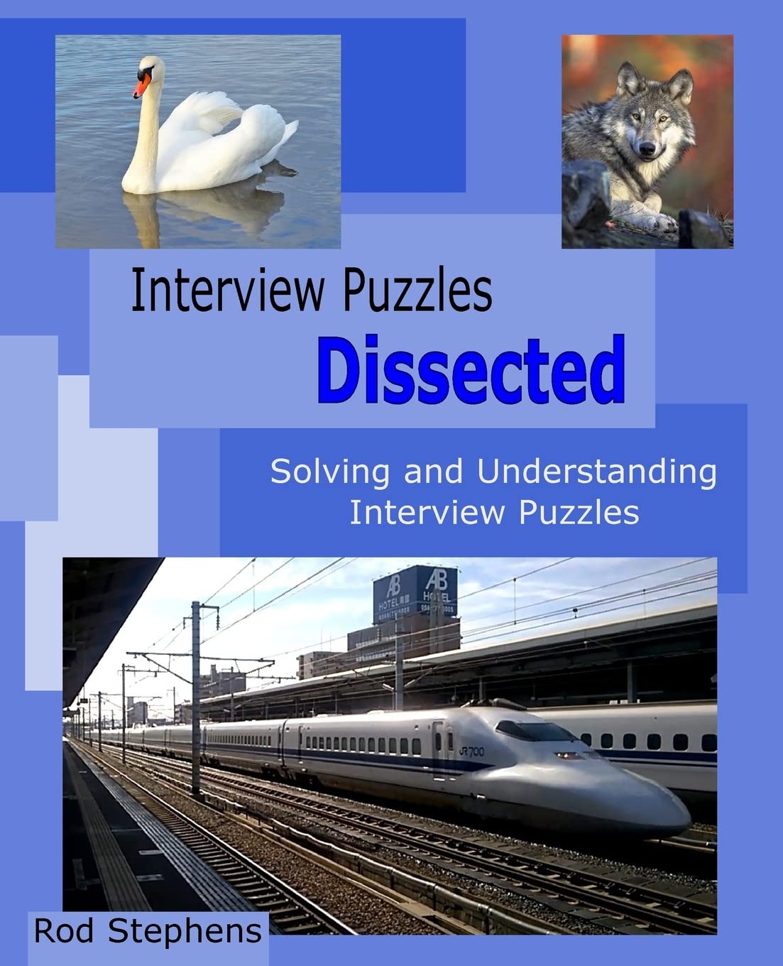 Interview Puzzles Dissected: Solving and Understanding Interview ...