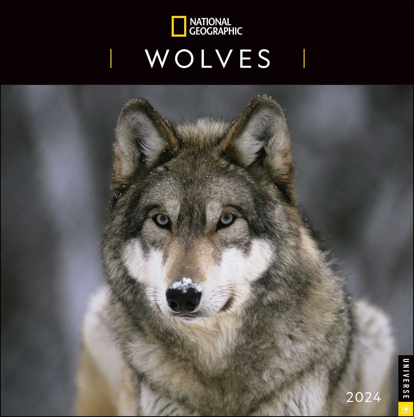 National Geographic: Wolves 2024 Wall Calendar : National Geographic ...