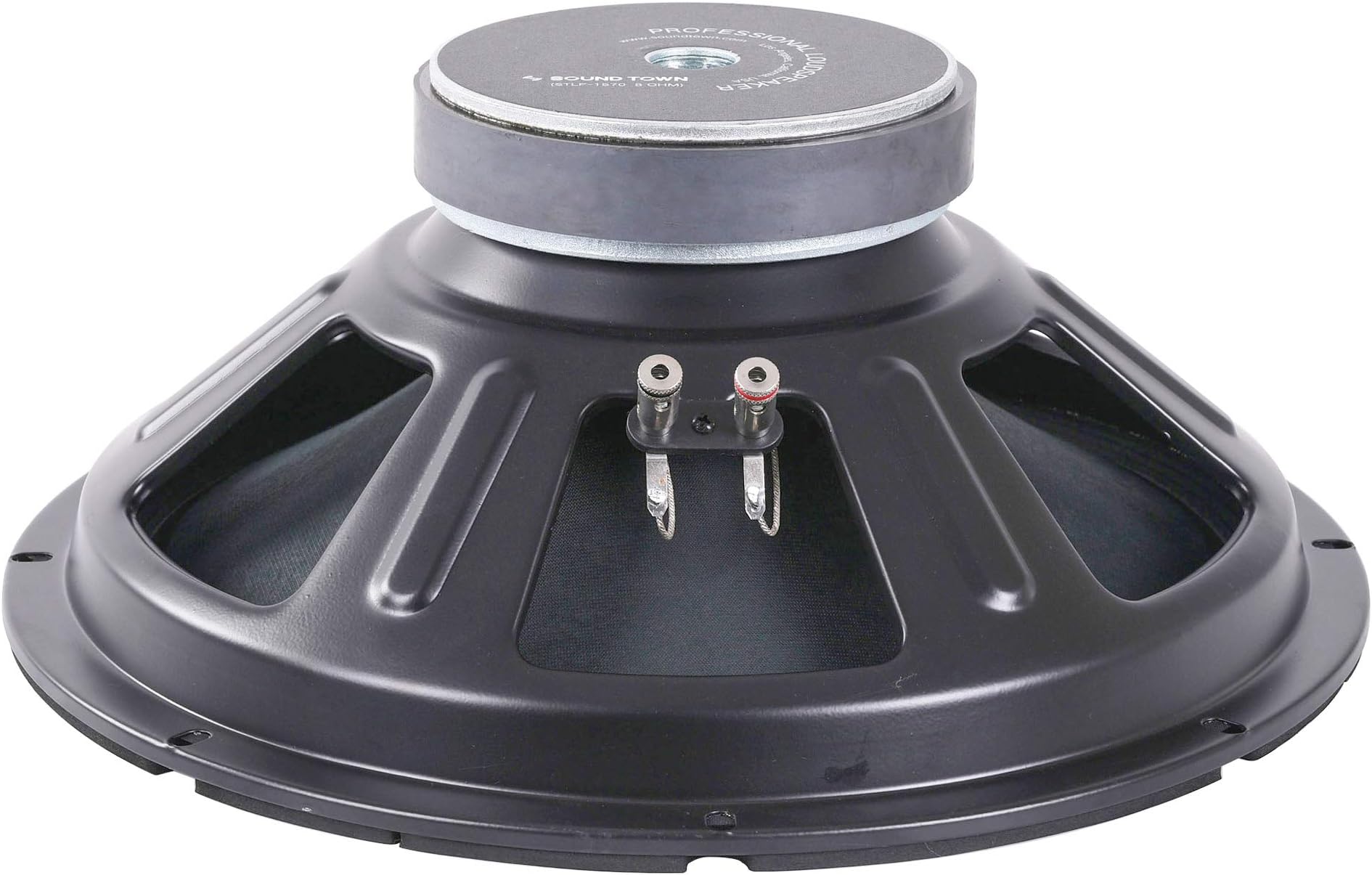 Amazon.com: Sound Town 15" RAW WOOFER Speaker, 300 WATTS PRO Audio PA ...