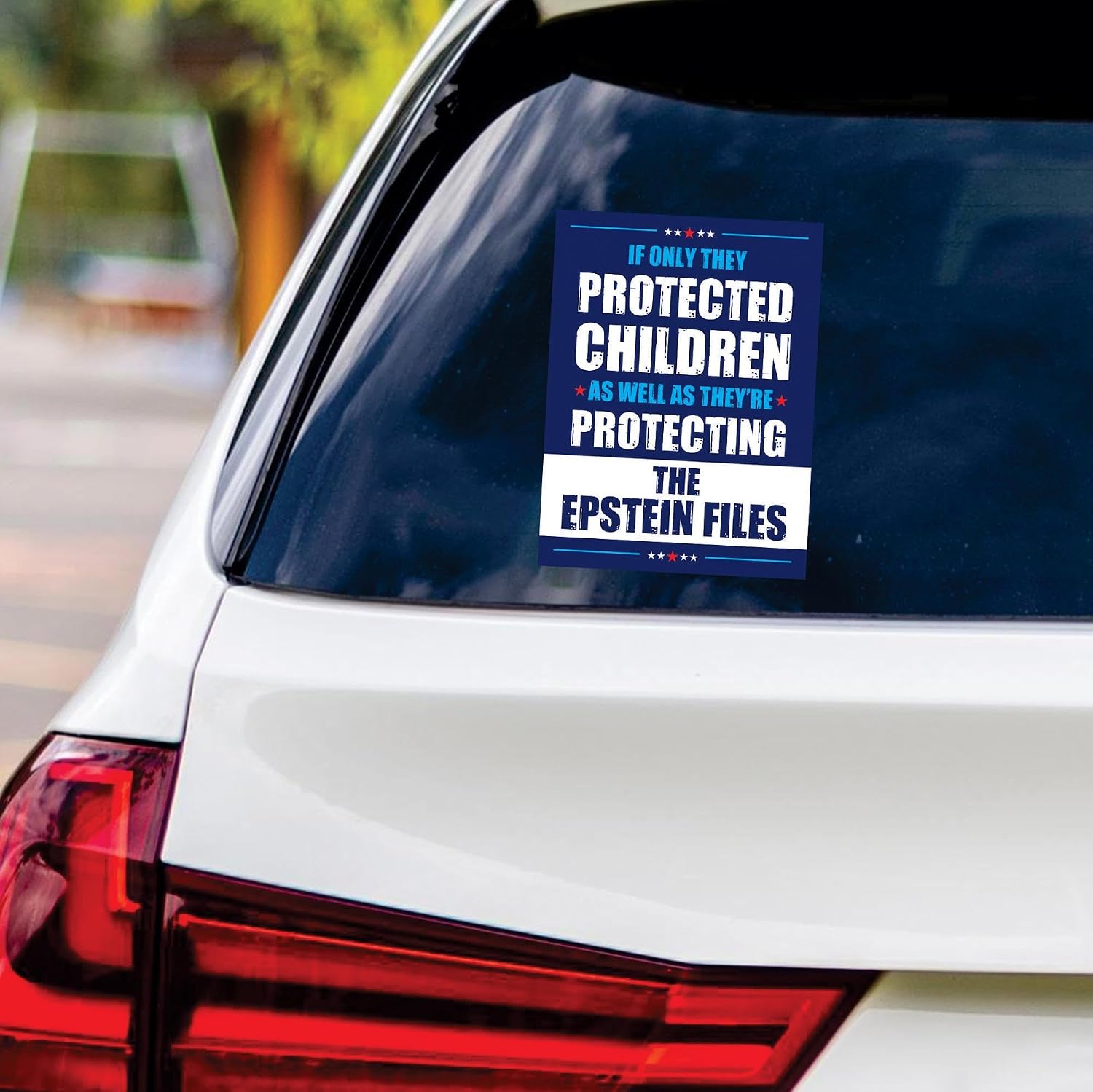 Amazon.com: The Epstein Files Protest Vinyl Sticker, Protect Democracy ...