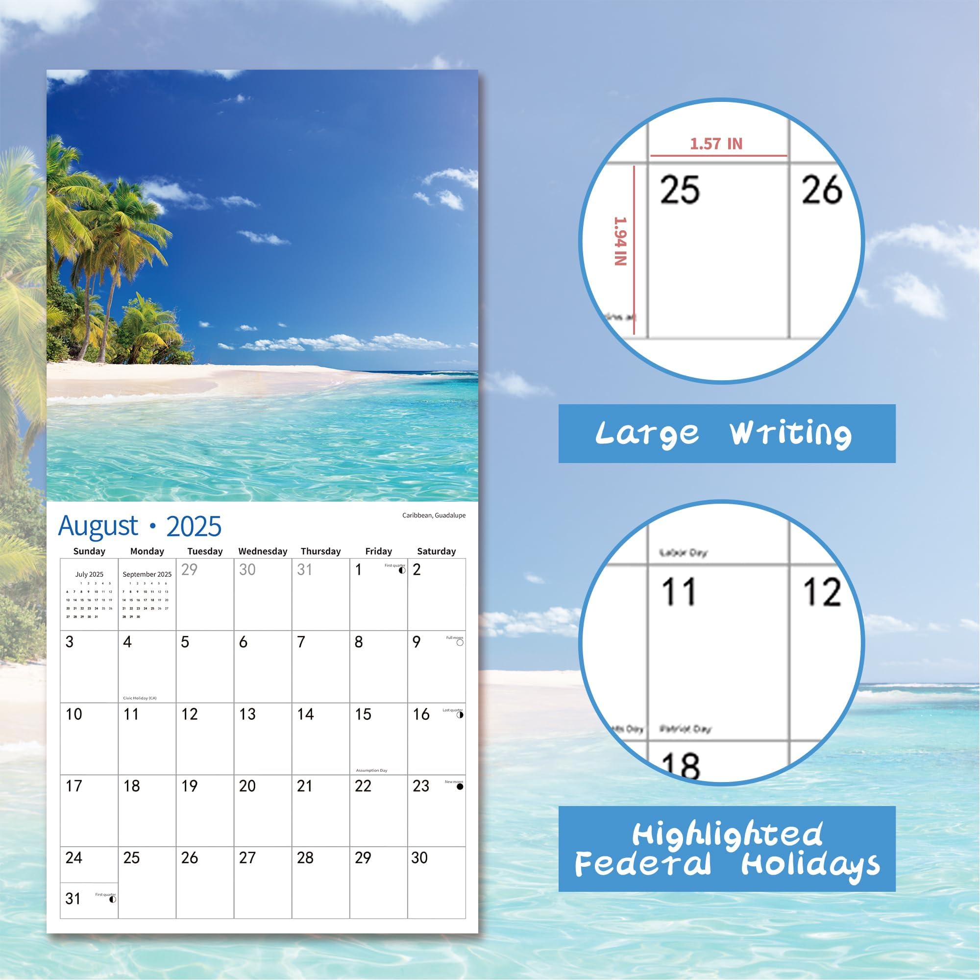 Snapklik.com : 2025 Wall Calendar,Calendar 2025, January 2025 ...