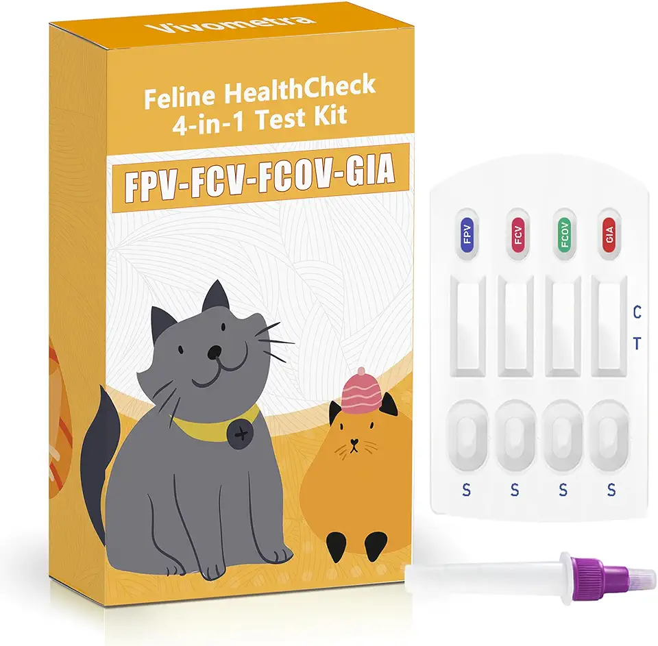 Cat Reflexes: Quick As Lightning? | PetShun