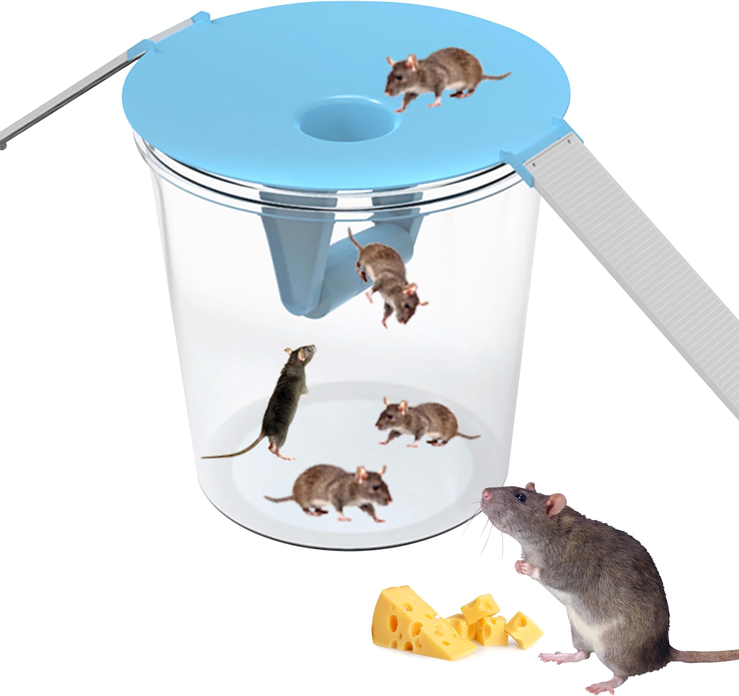 Amazon.com : PLANKYPRO Walk The Plank Bucket Mouse Trap V2 with Bait ...