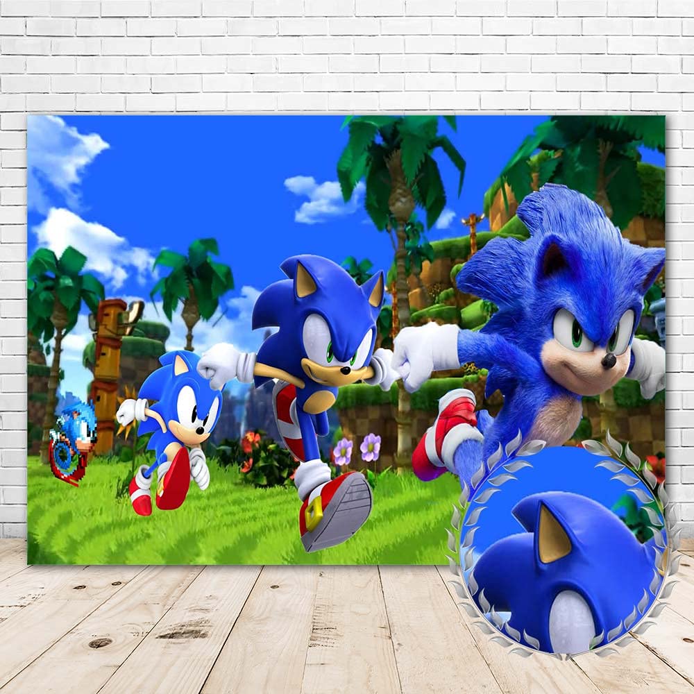 Youran Sonic The Hedgehog Video Game Backdrop 7x5 Vinyl Sonic ...
