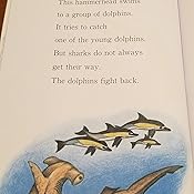 Amazon.com: Hungry, Hungry Sharks (Step-Into-Reading, Step 3 ...