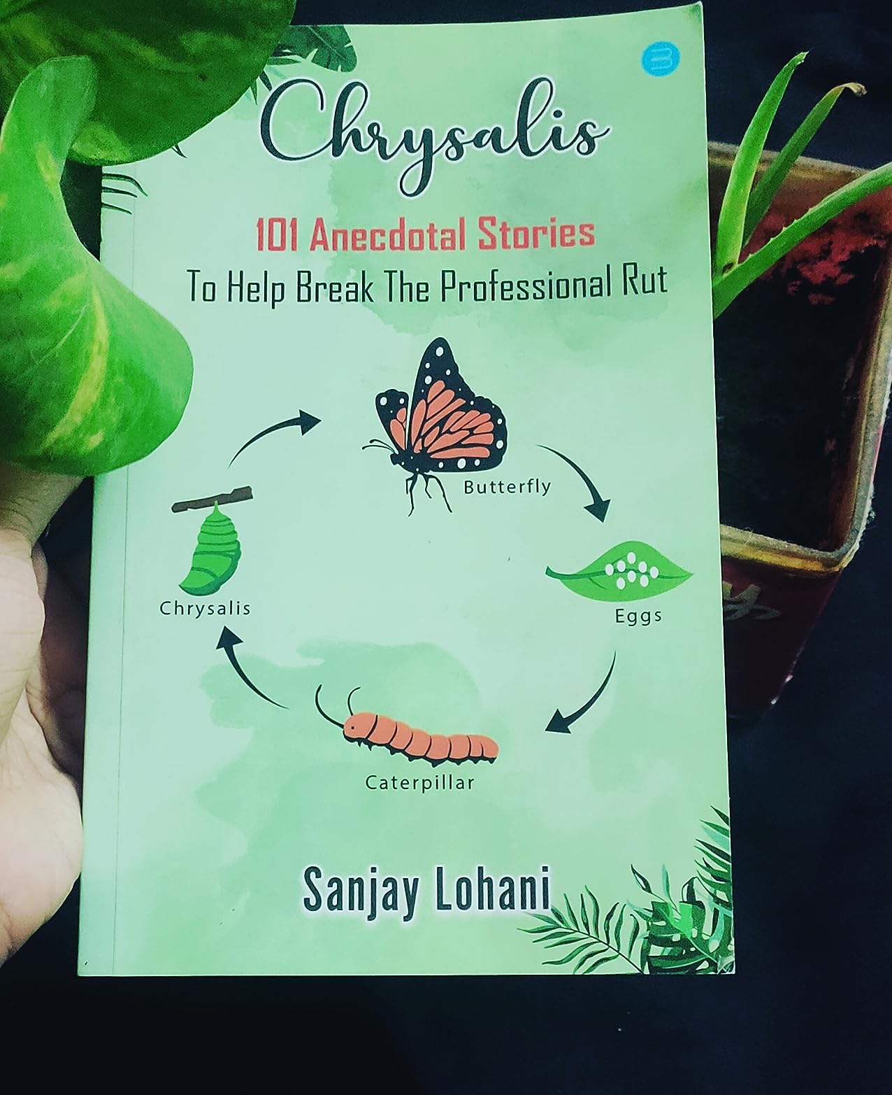 Amazon.in: Buy Chrysalis - 101 Anecdotal Stories to Help Break the ...