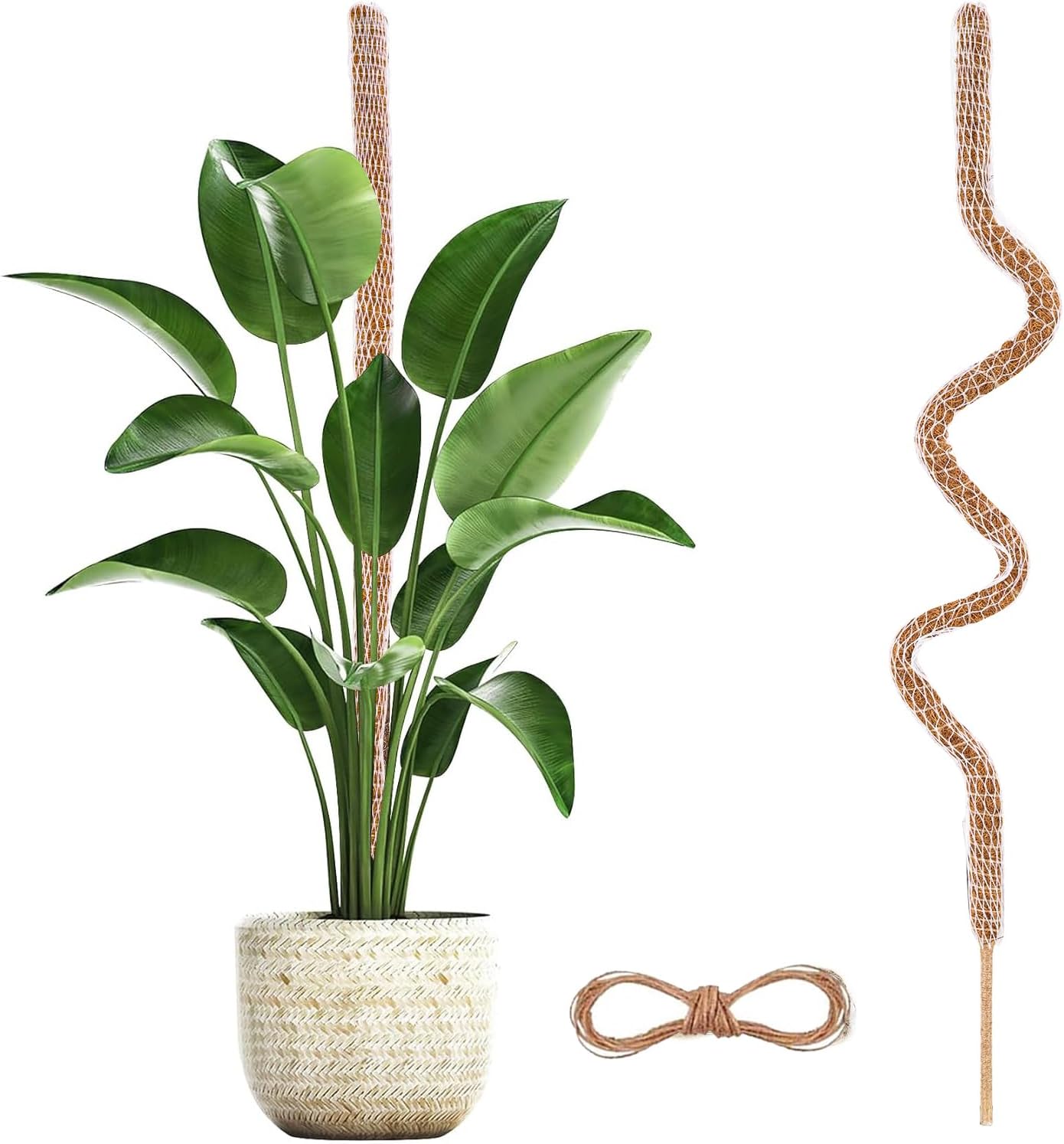 Amazon.com : Baychon Moss Pole Monstera Plant Support Stakes, Monstera ...