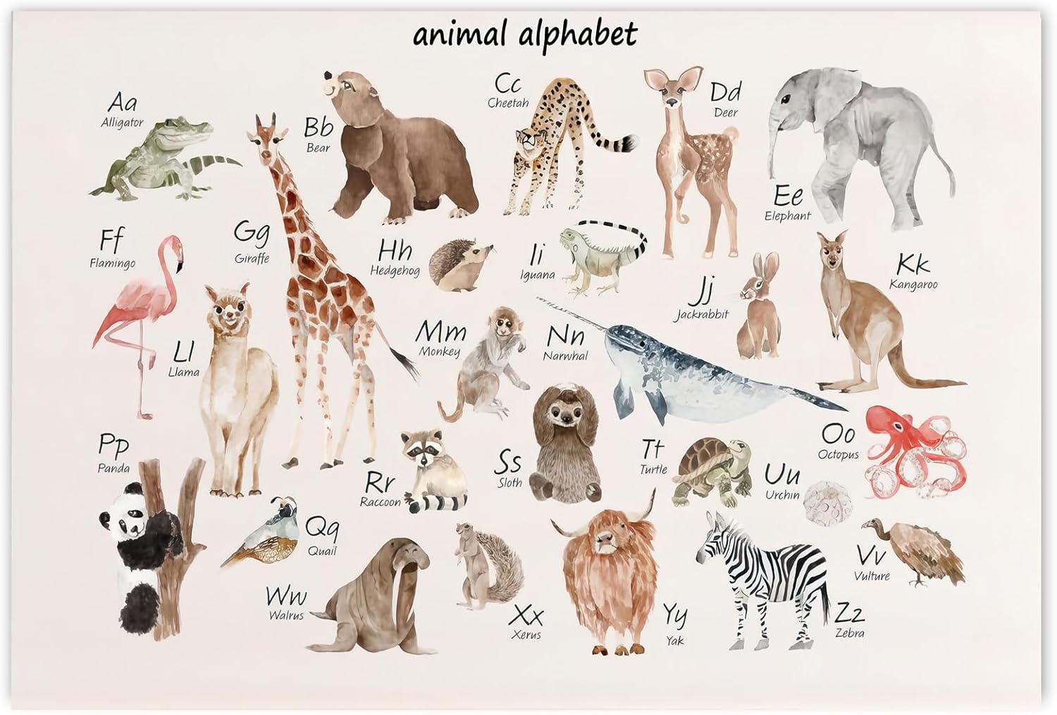 Amazon.com: ARBOMG Animal Alphabet Chart | Alphabet Canvas ...