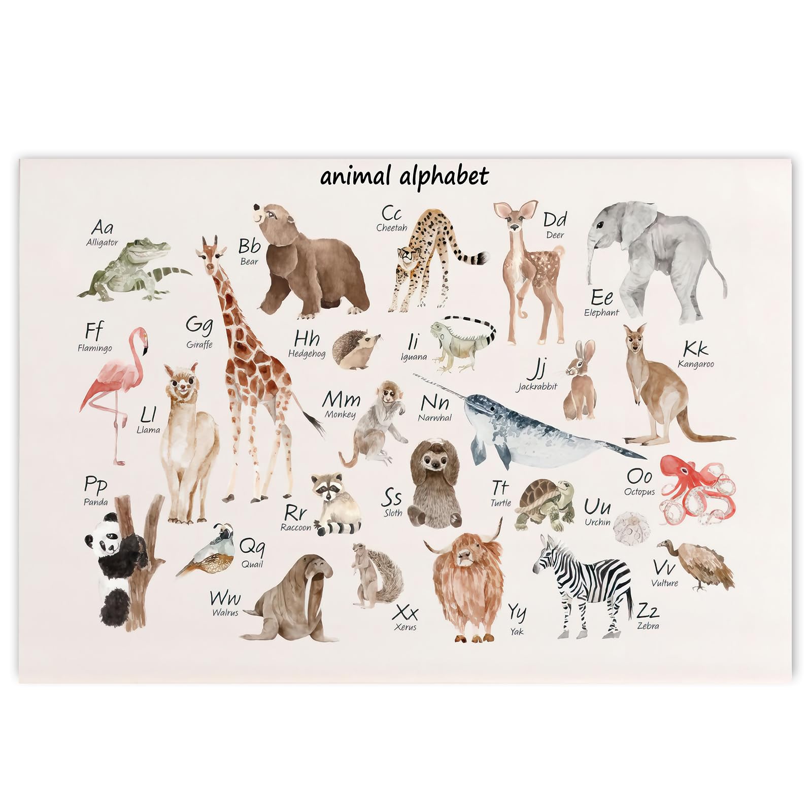 Arbomg Animal Alphabet Chart Kids Educational Poster Animal Alphabet ...