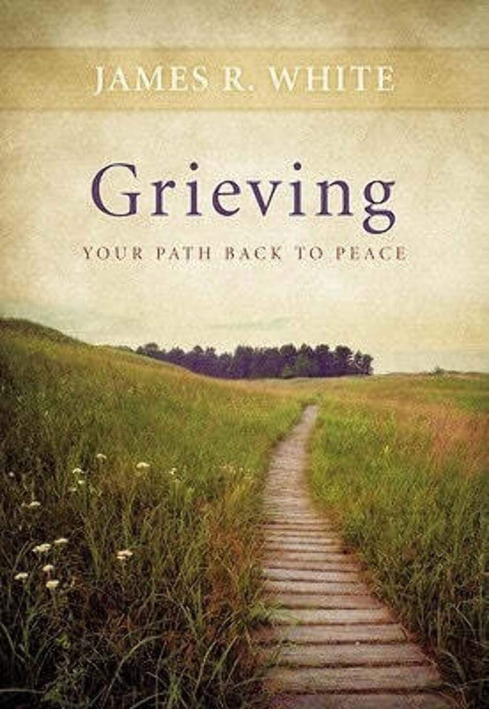 Grieving: Your Path Back to Peace (Crisis Points): James R. White ...
