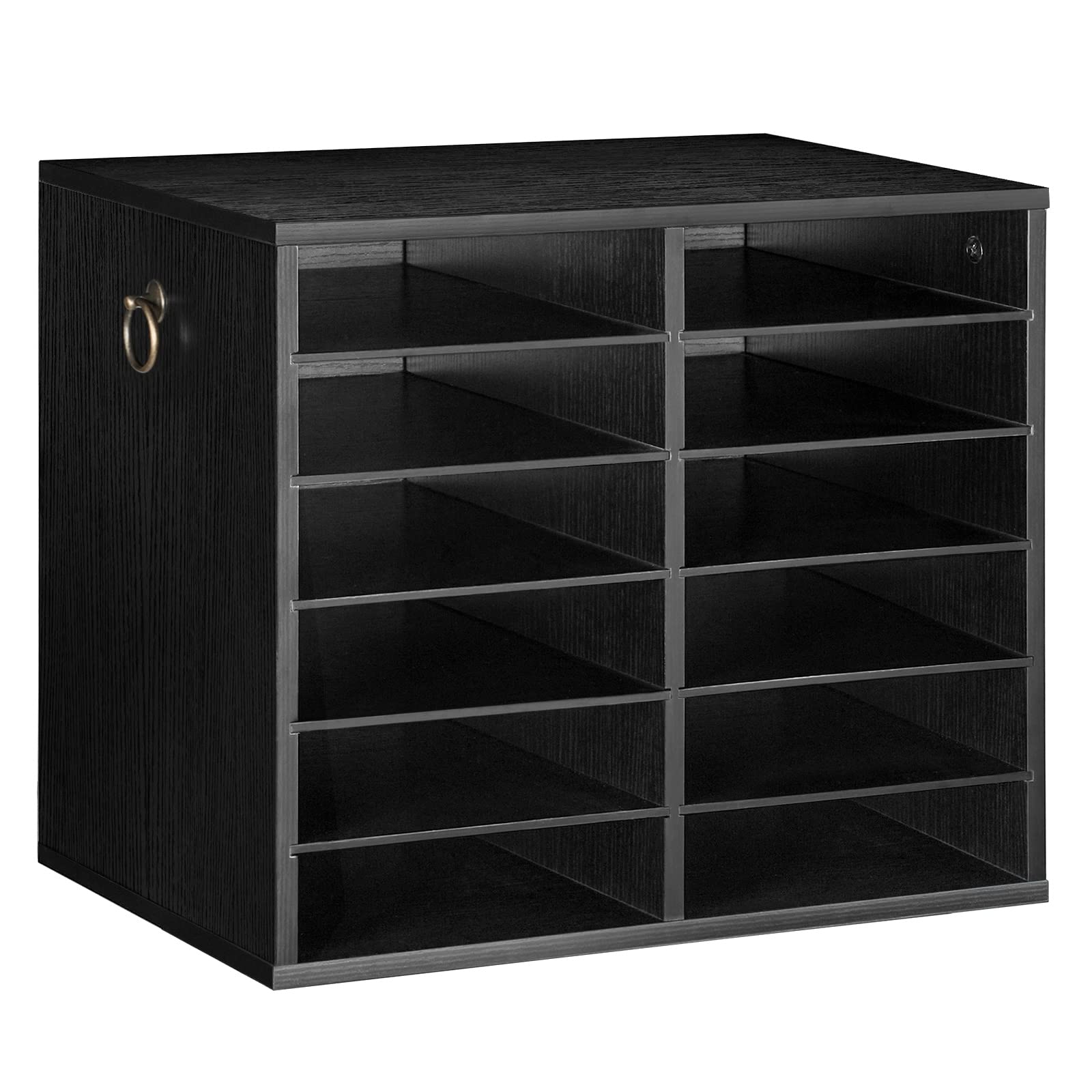Cardboard Literature Organizer