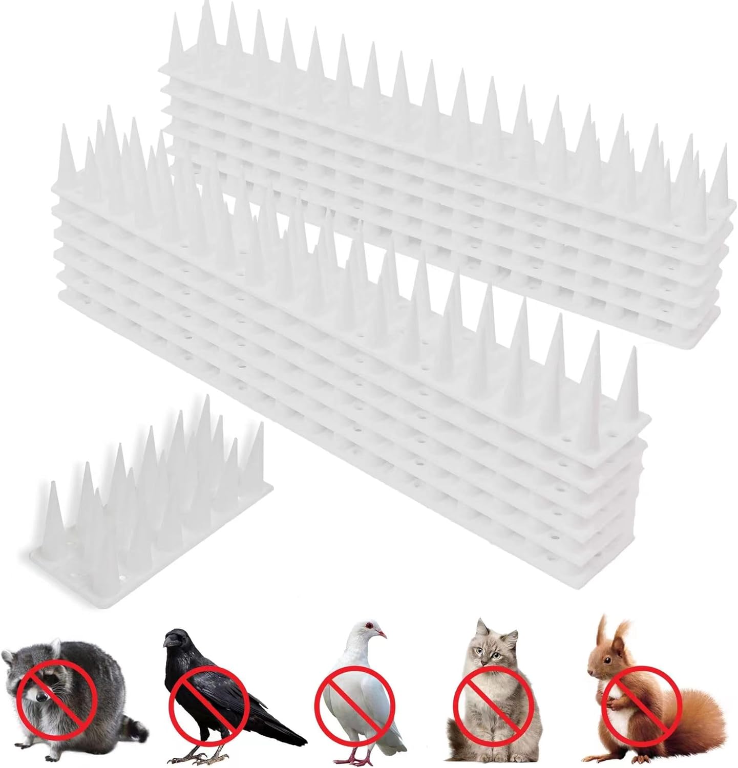 Amazon.com : Granmira 12Pack Plastic Bird Spikes,Pigeon Spikes,Blocking ...