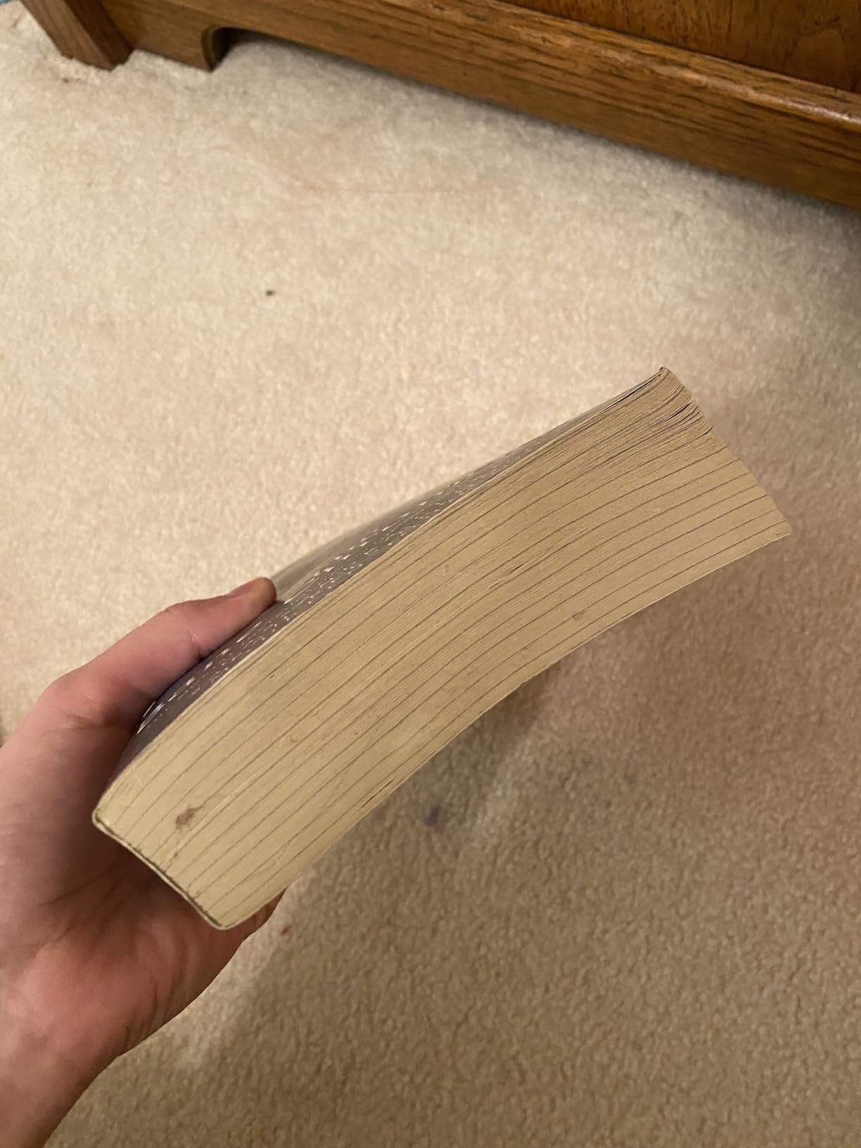 Amazon.com: The Bane Chronicles: 9781406360585: Cassandra Clare, Sarah ...