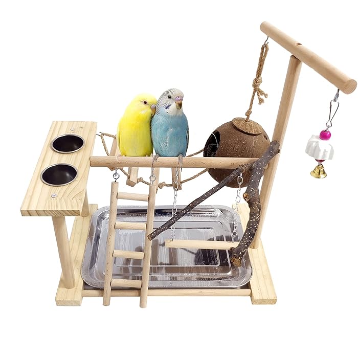 Buy Hamiledyi Bird Playground for Conures Parrot Playstand Cockatiel ...