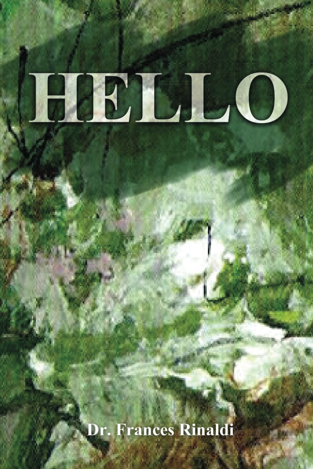 Amazon.com: Hello: 9798873846313: Rinaldi, Frances: Books