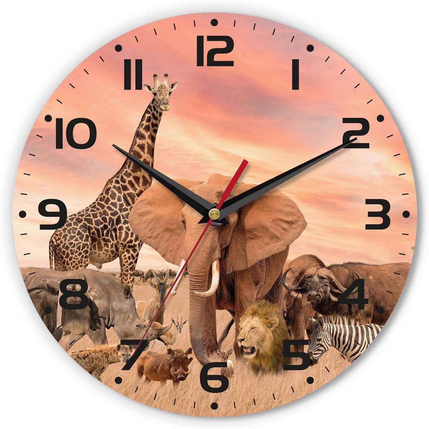 Amazon.com: Safari African Animals Wall Clock 10 Inch Battery Operated ...