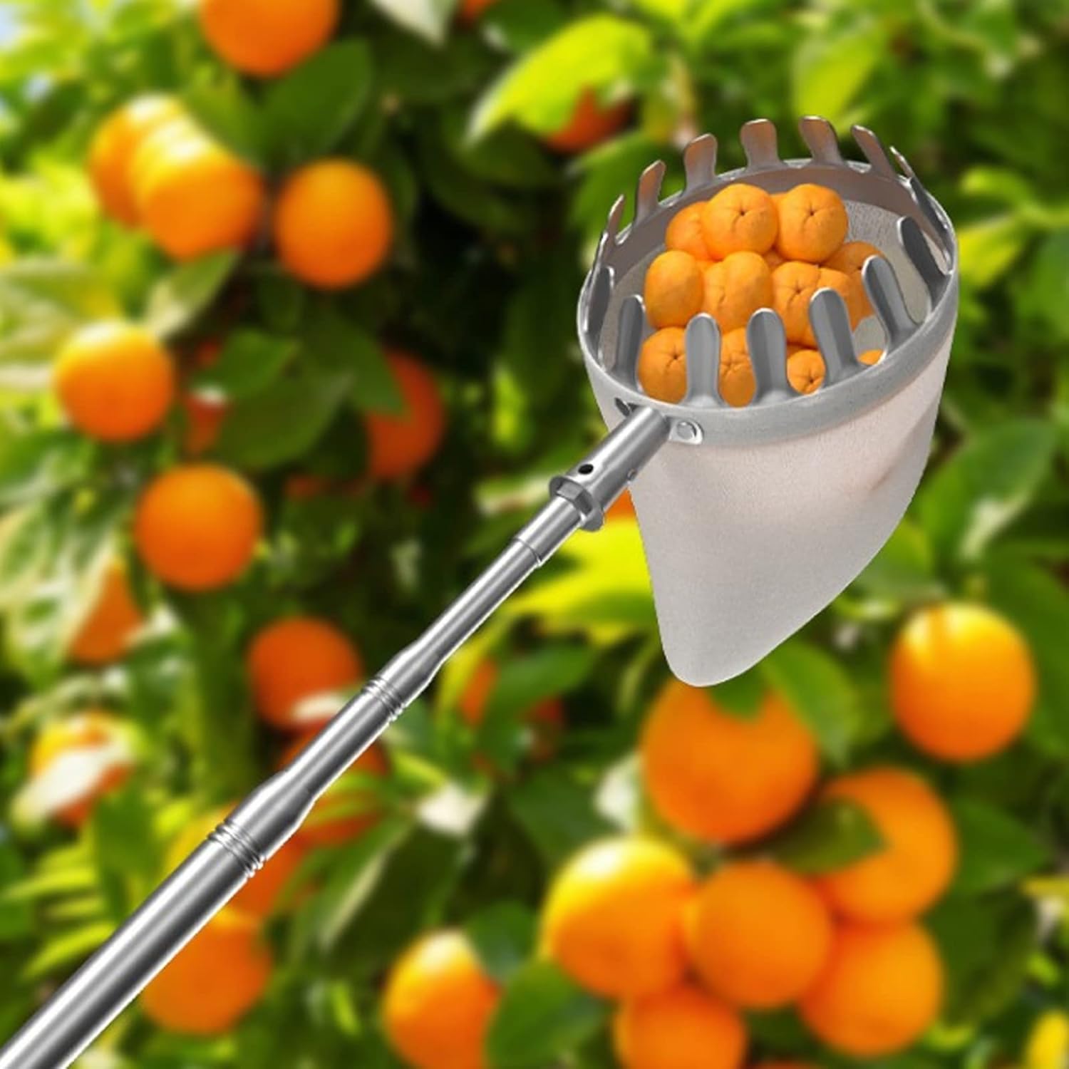 Amazon.com: Yesbon Fruit Picker Tool Fruit Picker, Fruit Picking ...