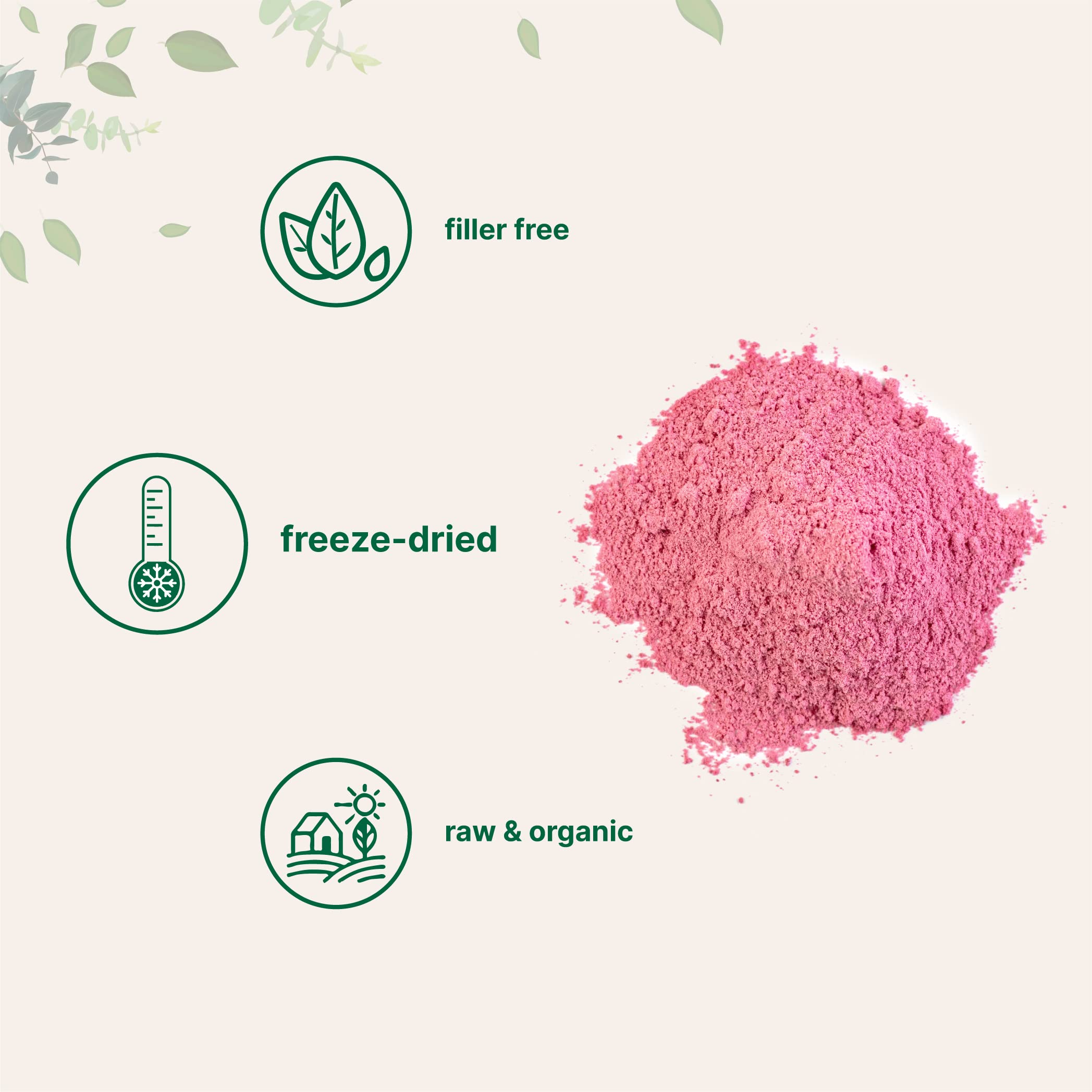 Snapklik.com : Organic Strawberry Powder, 1 Lb 100% Natural Fruit ...