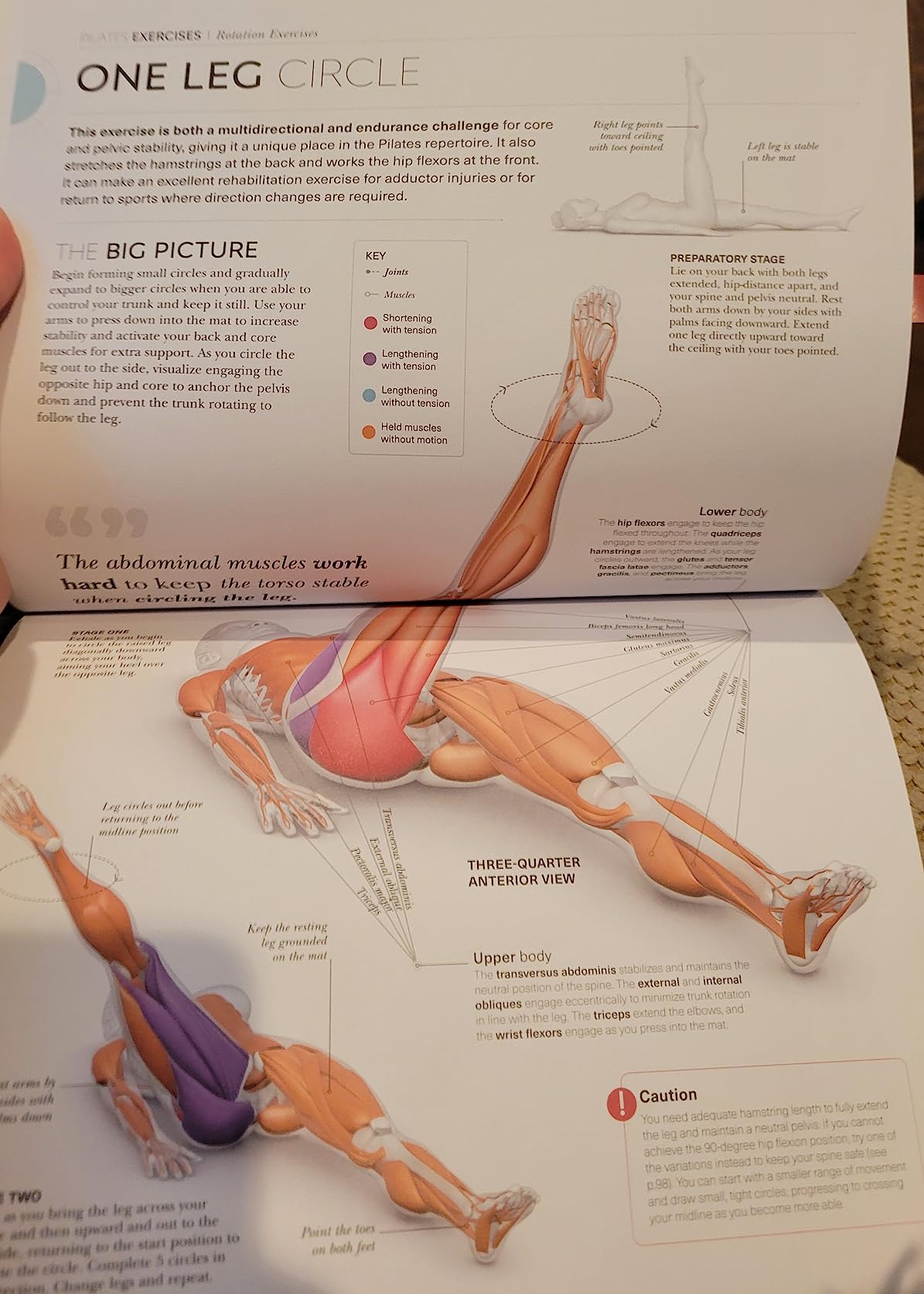 Science of Pilates: Understand the Anatomy and Physiology to Perfect ...