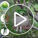 Amazon.com: Swing Face Planter Pot Hanging Swinging Smiley Planter Cute ...