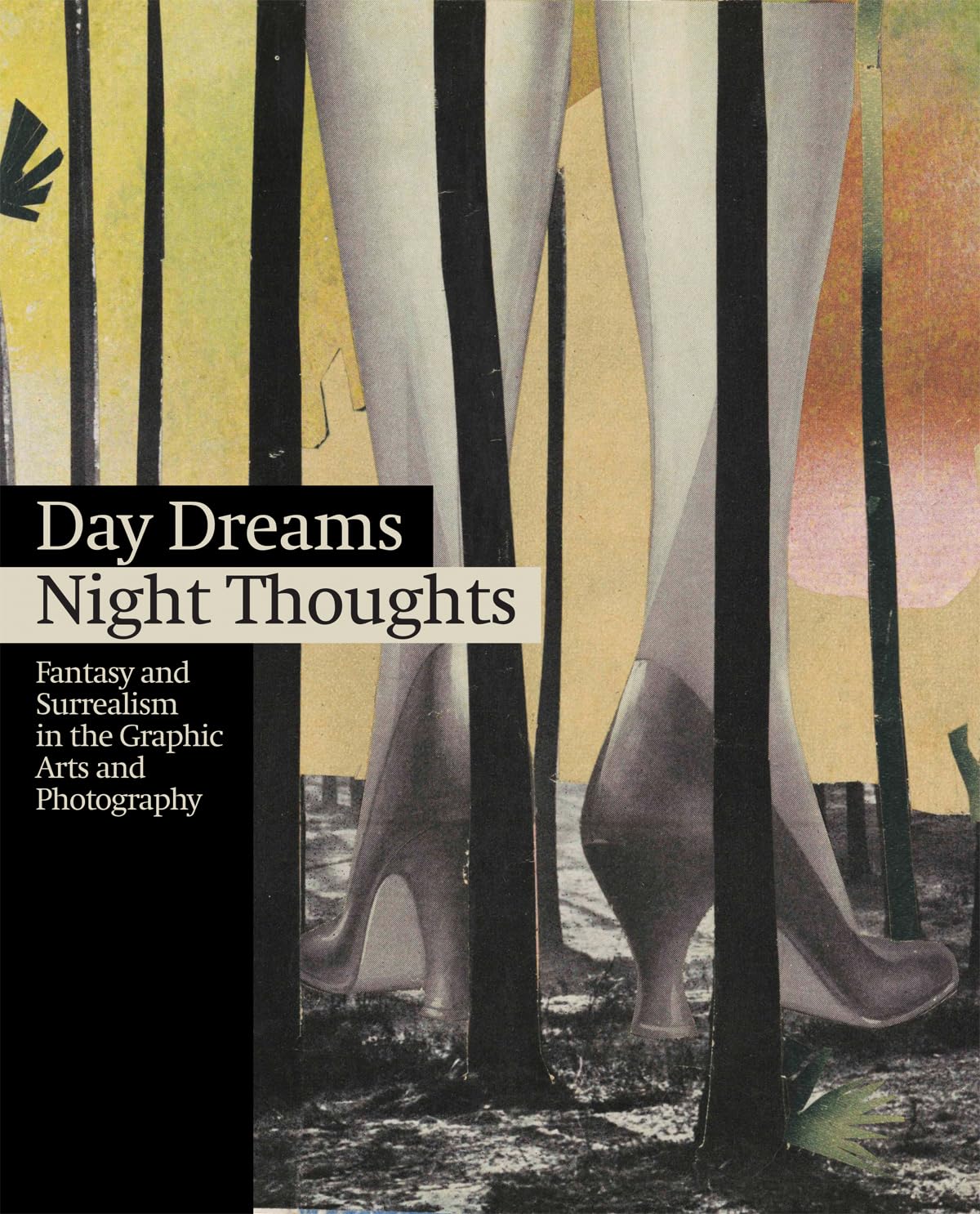 Day Dreams, Night Thoughts: Fantasy and Surrealism in the Graphic Arts ...