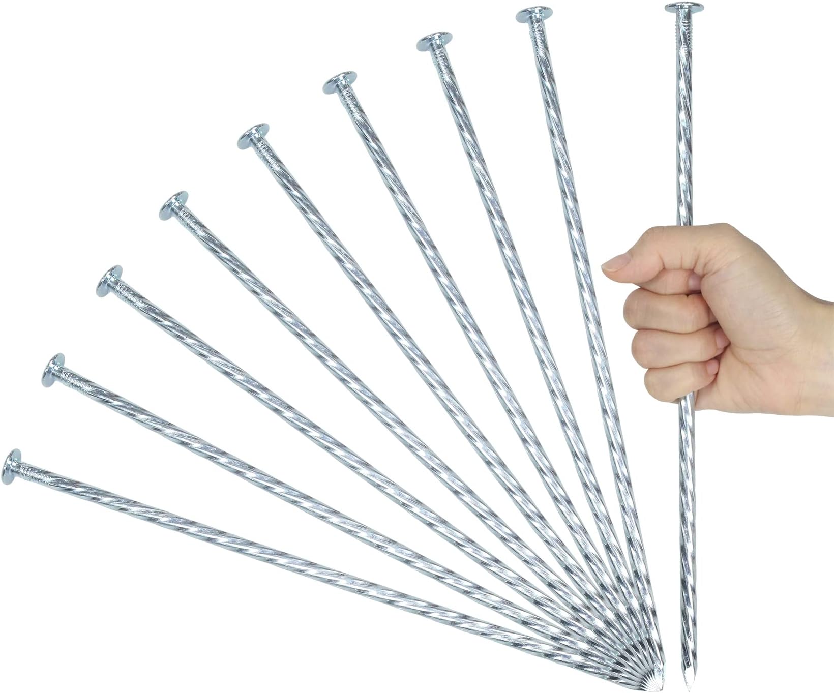 Amazon.com : Metal Edging Spikes; 10 Count 12 Inch, Round Metal ...