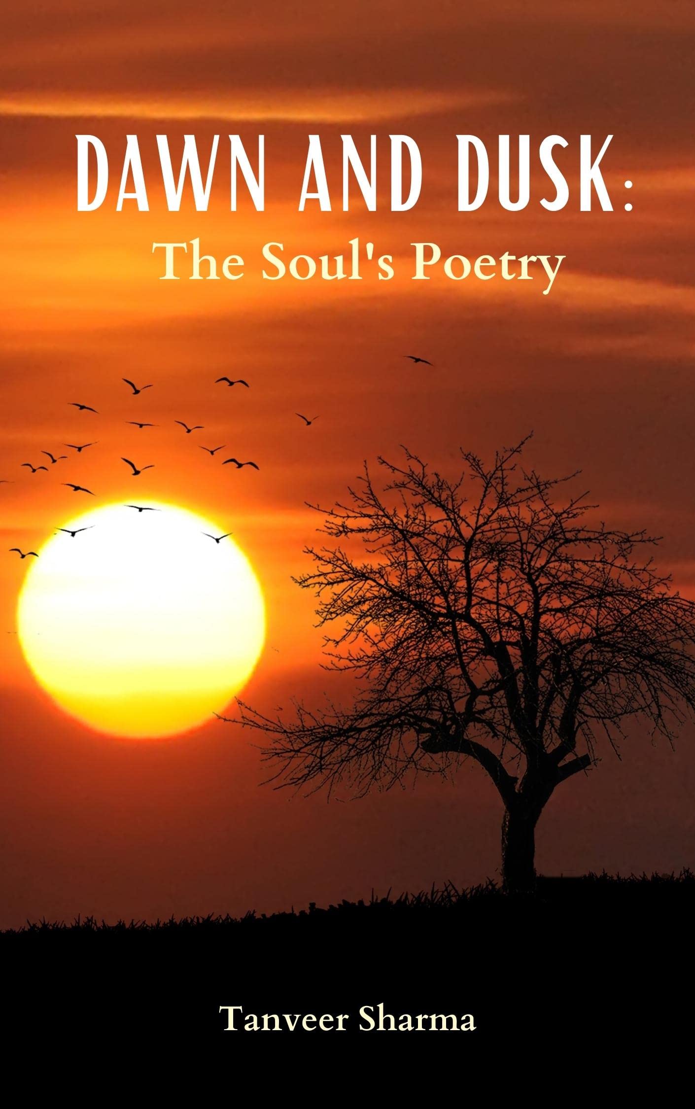 Buy Dawn and Dusk: The Soul's Poetry Book Online at Low Prices in India ...