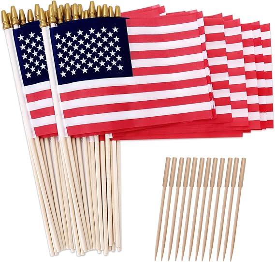 Amazon.com : 100 Pack 8x12 Inch American Flags on Stick, US Flag/U.S ...