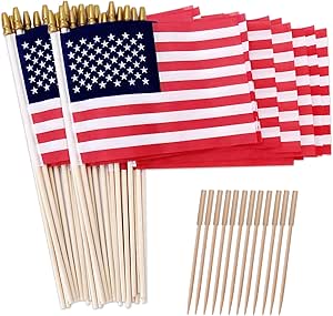 Amazon.com : 100 Pack 8x12 Inch American Flags on Stick, US Flag/U.S ...