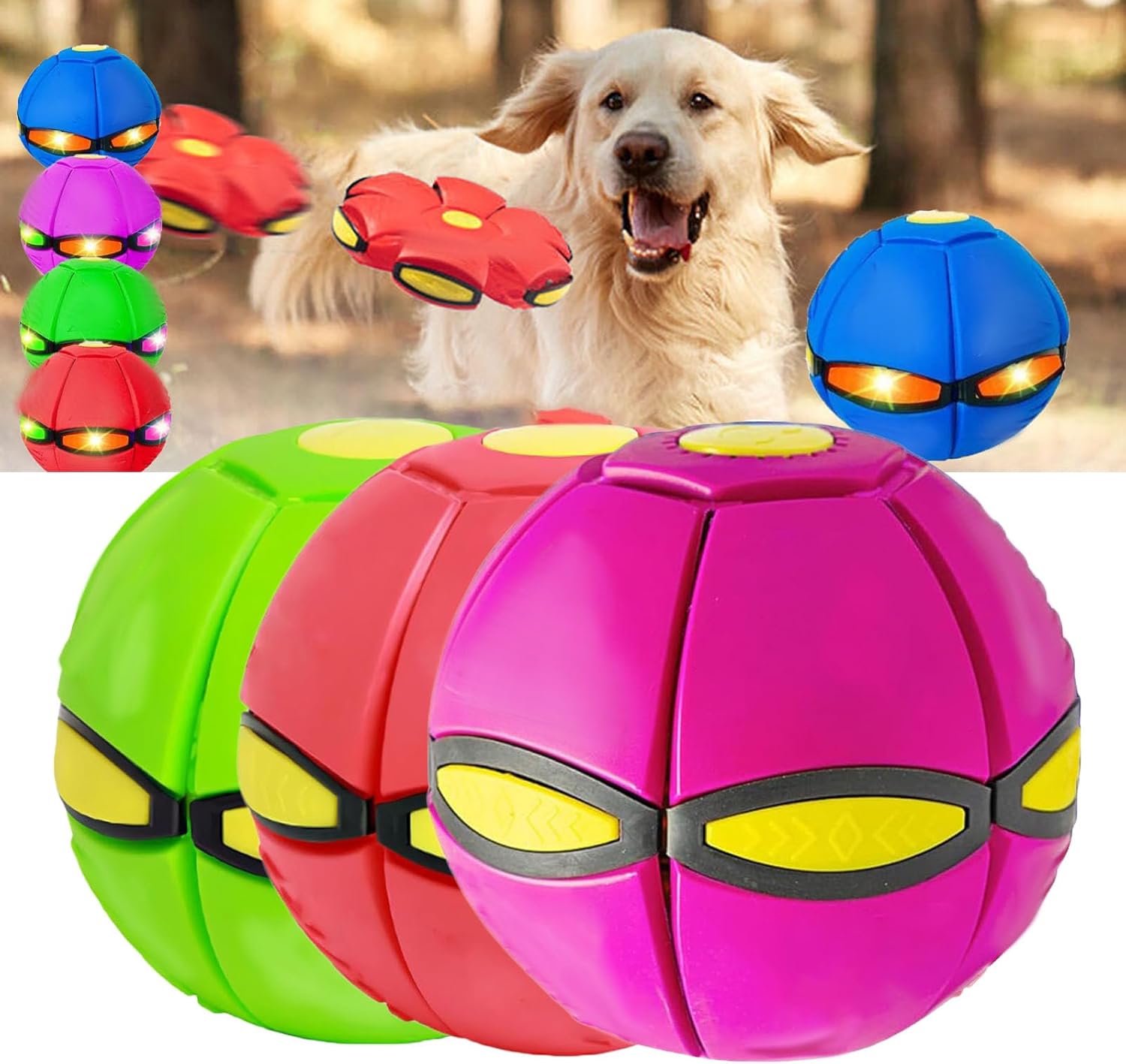 Amazon.com : Doggie Disc Ball with Lights | the Doggy Disc Ball ...