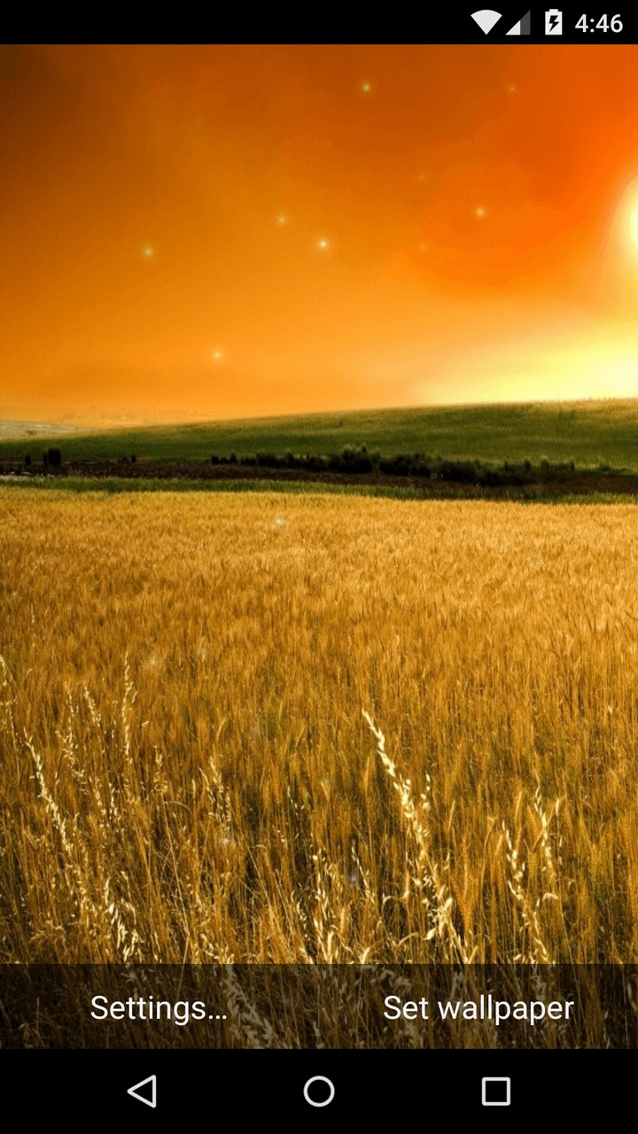 Summer Live Wallpaper HD - App on Amazon Appstore
